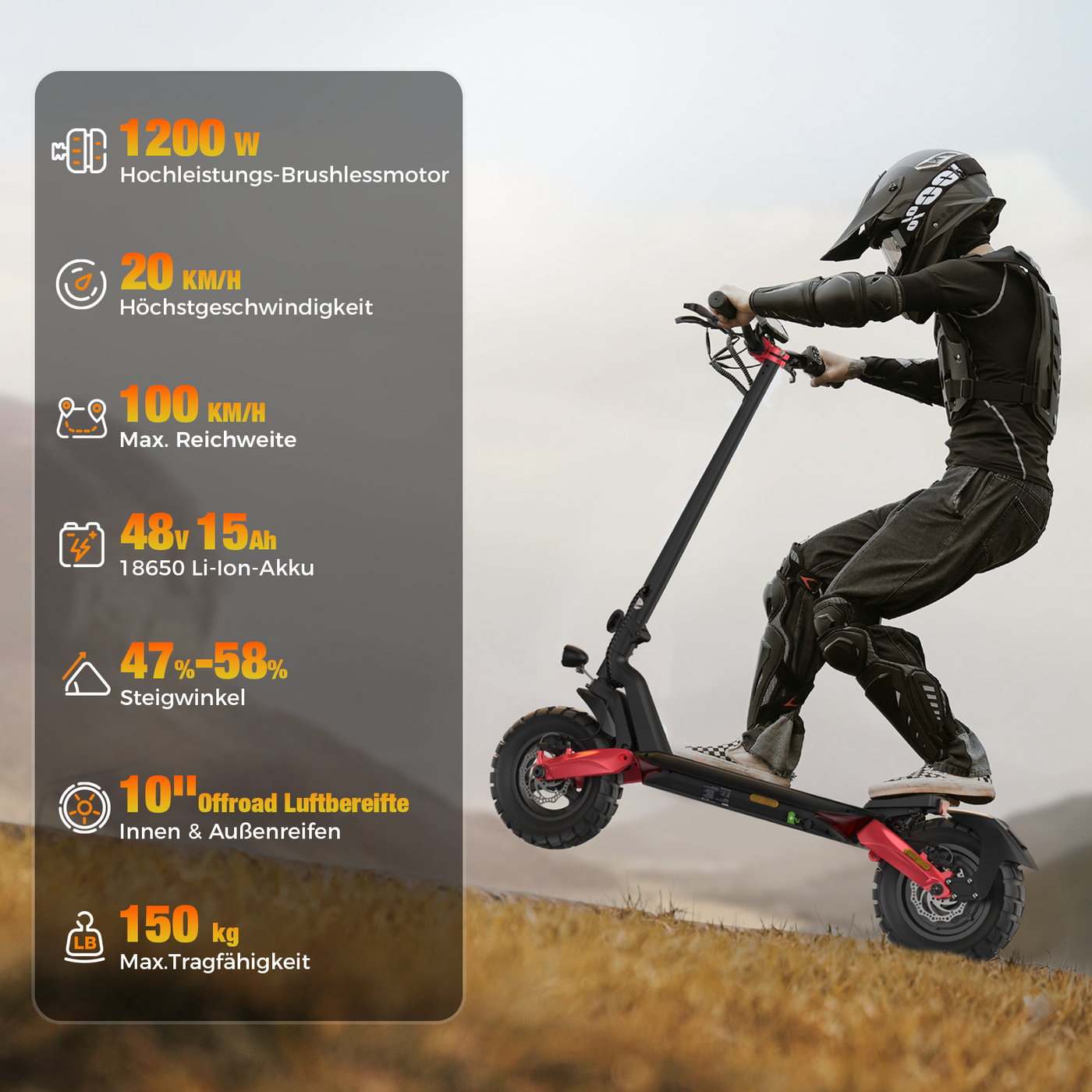 E Scooter Offroad Mit Strassenzulassung